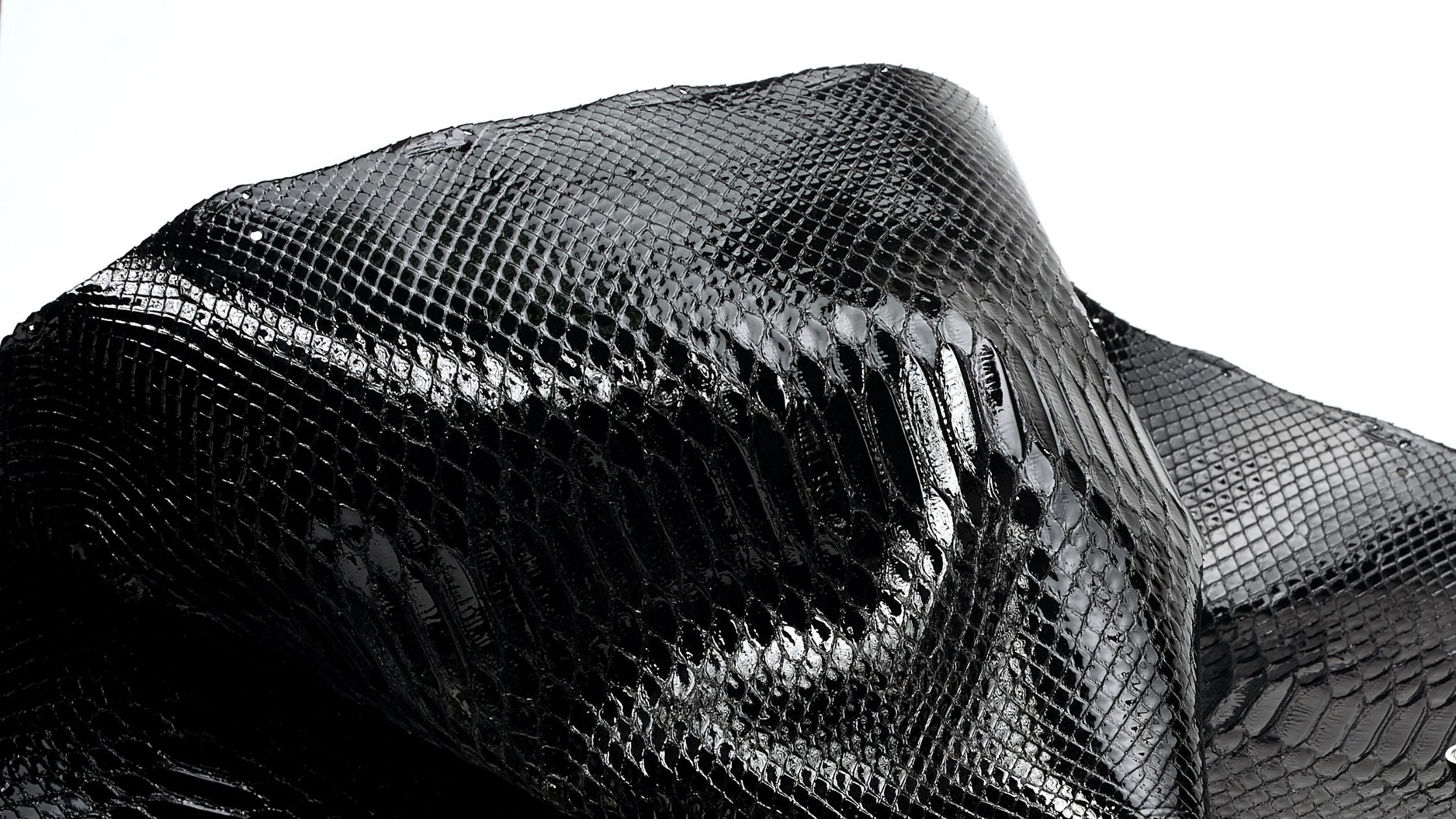 What Is An Alligator Leather? A Complete Guide – Leather Hub