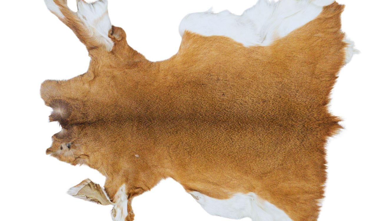 What Is Deerskin Leather? Complete Guide to Deer Hide. – Leather Hub